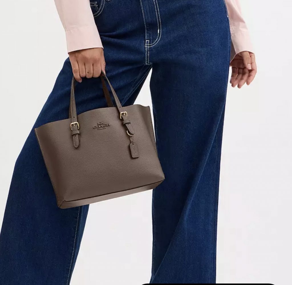 Coach Mollie Bag - Royal Collection