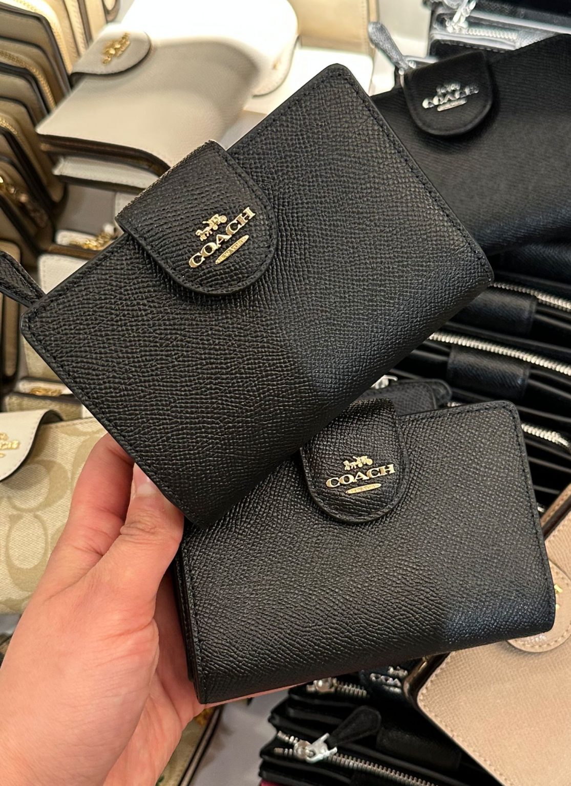 Coach Wallet - Royal Collection
